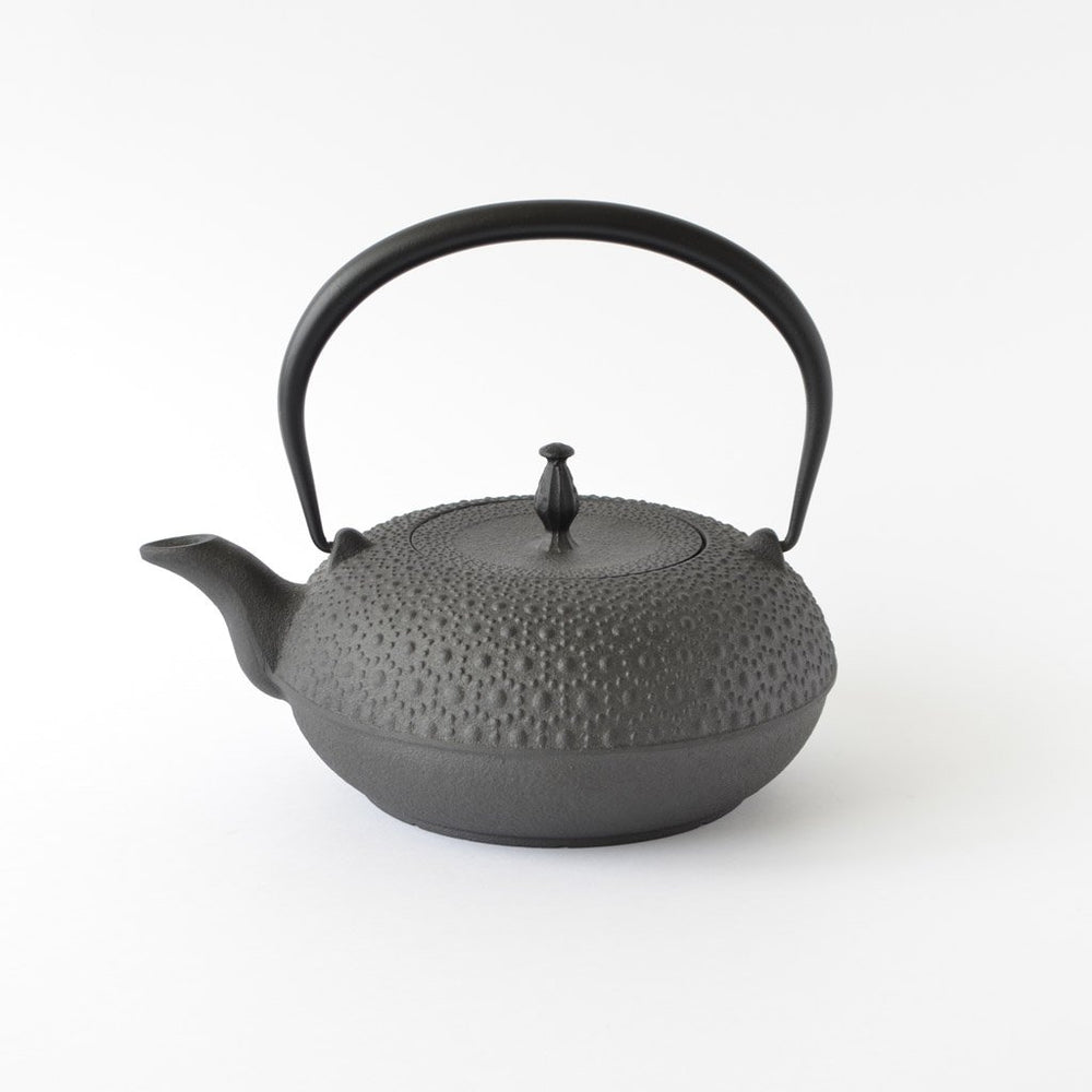 Nambu Ironware Teapot / Kettle