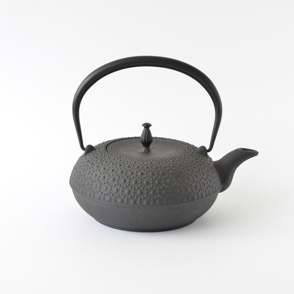 Nambu Ironware Teapot / Kettle